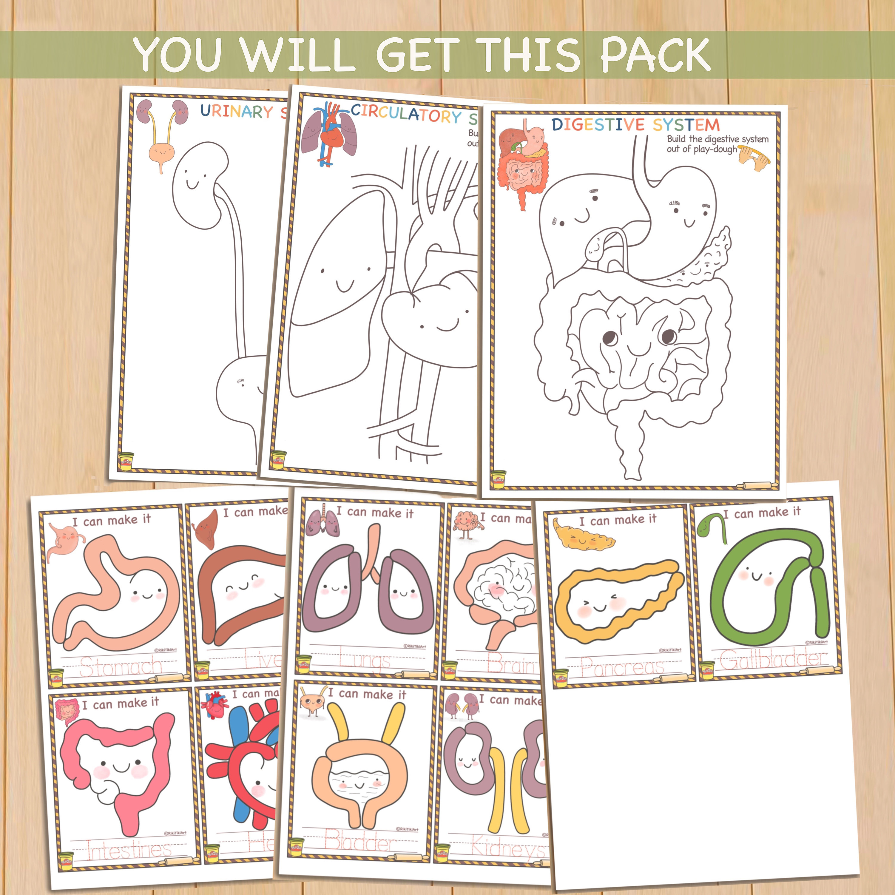 Human Organs Play Dough Mats Fine Motor Skills Preschool - Etsy UK