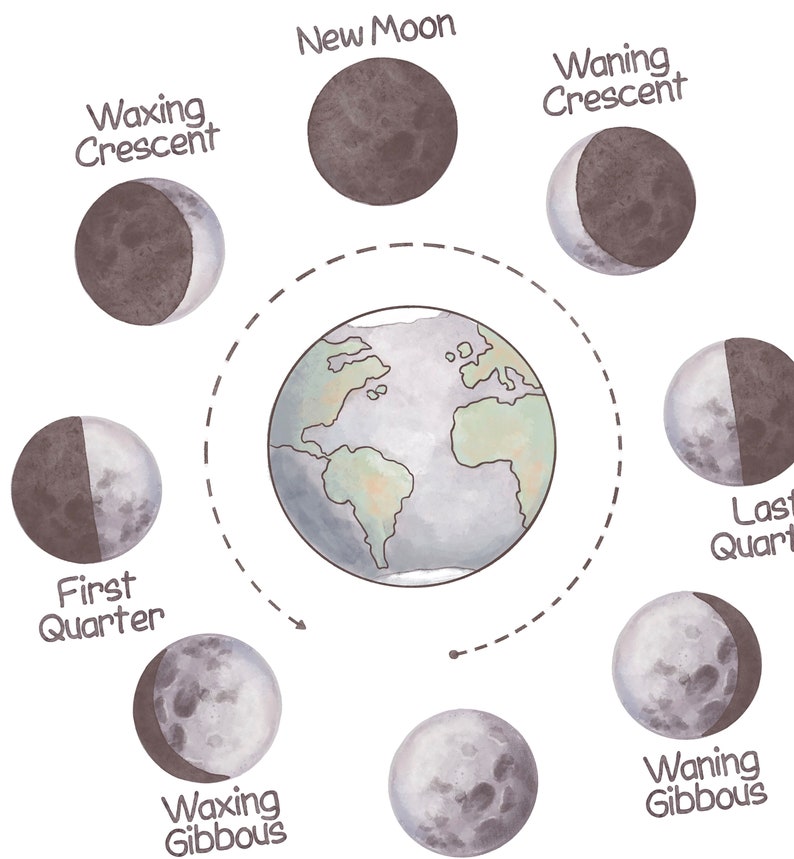 Moon Phases & Solar System Poster Downloadable Homeschool | Etsy