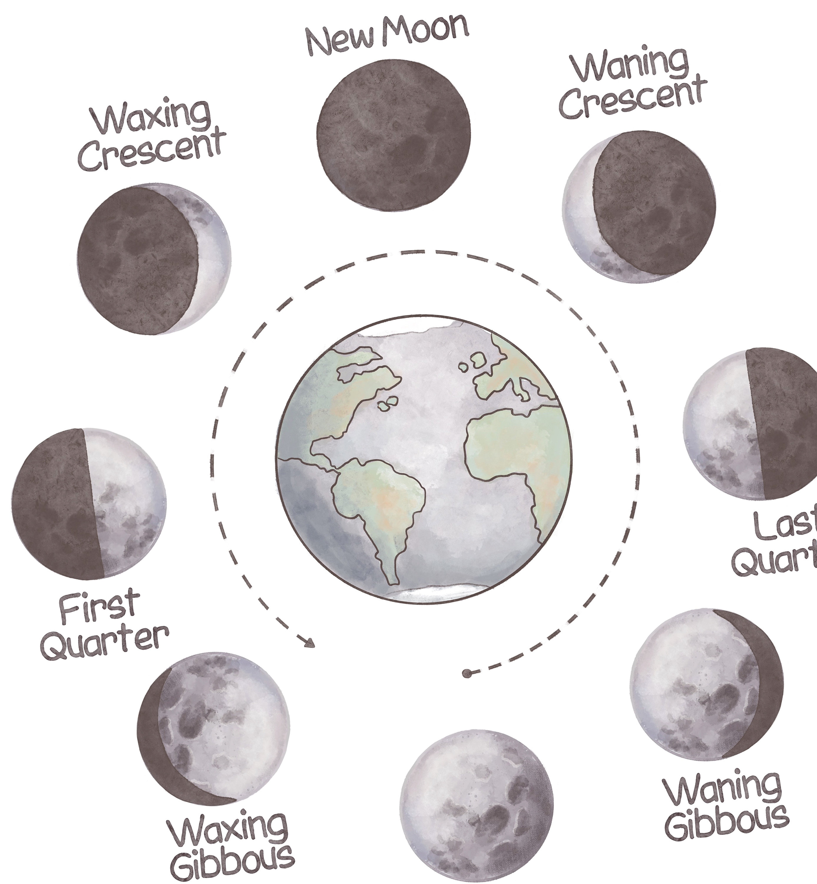 Moon Phases & Solar System Poster Downloadable Homeschool | Etsy