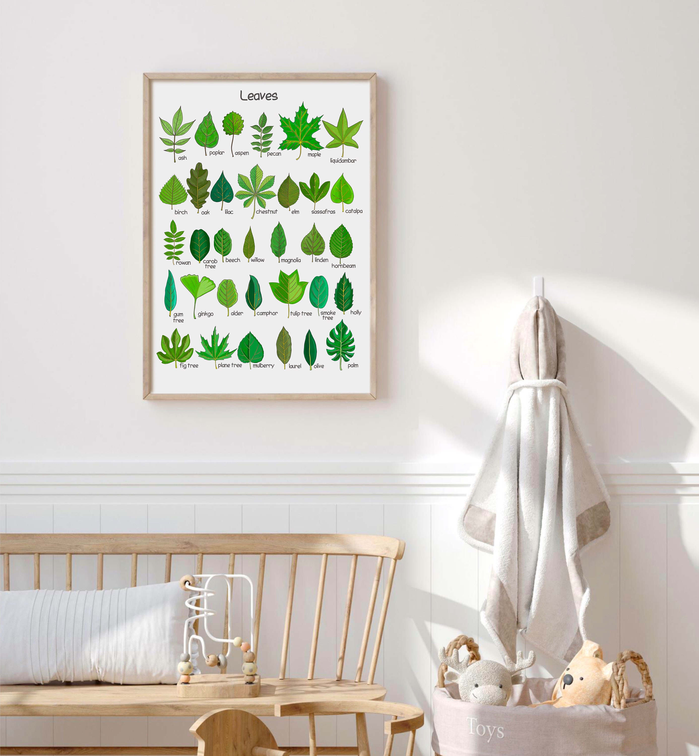 Trees Leaves Poster Homeschool Educational Posters Montessori Printable ...