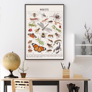 Insects Educational Posters Classroom Posters Montessori Decor ...