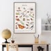 Insects Educational Posters Classroom Posters Montessori Decor ...