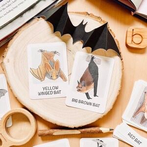 Bats Flash Cards Homeschool Printable Resources Montessori Halloween ...
