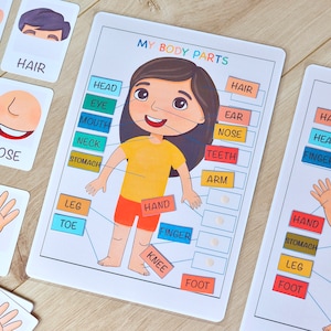 Body Parts Busy Bundle, Printable Montessori Materials - Educational ...