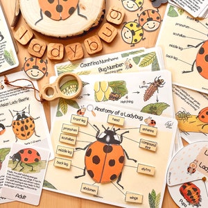 Ladybug Unit Study Homeschool Spring Printables Charlotte Mason ...