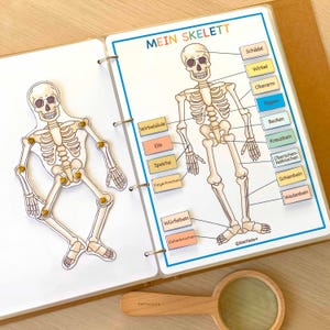 German Human Anatomy Busy Book Homeschool Human Body Unit Study ...