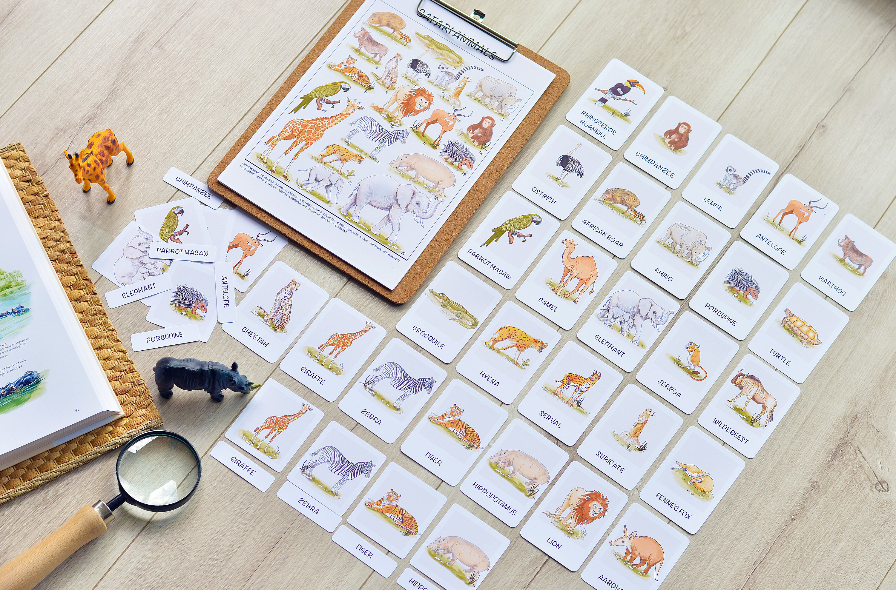 Safari Animals Flashcards Printable Montessori Materials - Etsy Australia