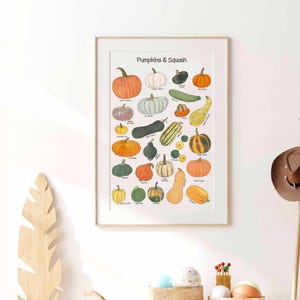 Pumpkins & Squash Poster, Fall Homeschool Printable Educational Wall ...