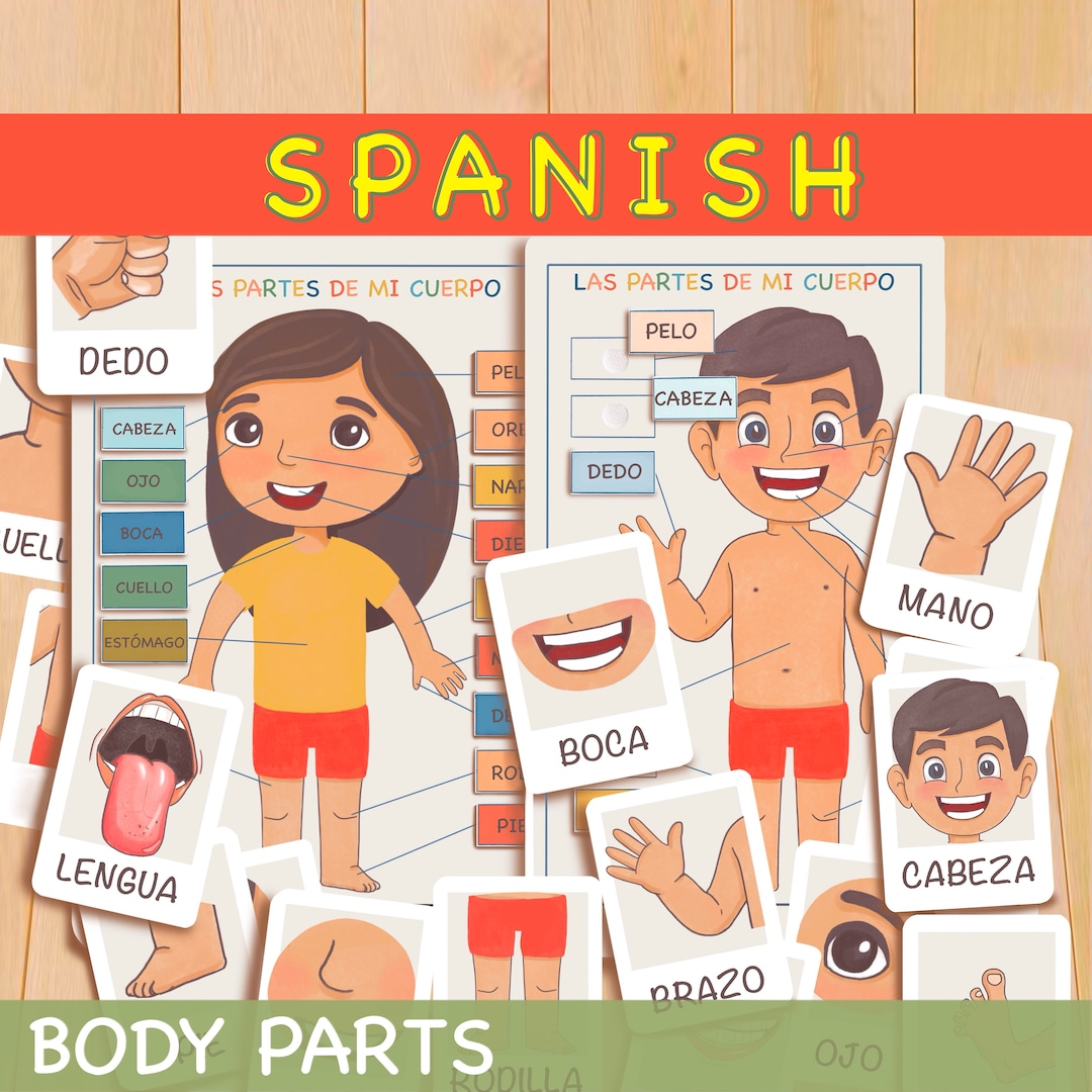 Spanish Body Parts Printable Montessori Materials, Human Anatomy ...