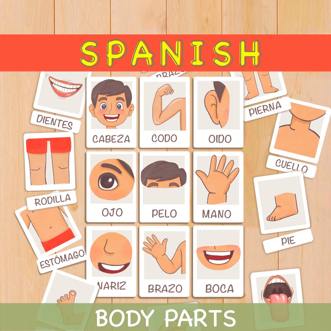 Spanish Body Parts Flash Cards Homeschool Learning Materials for ...