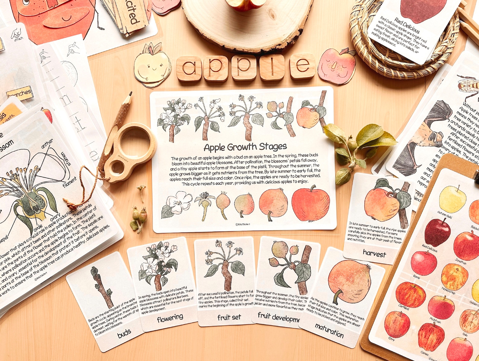 Apple Unit Study Homeschool Fall Printables Charlotte Mason Preschool ...