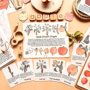 Apple Unit Study Homeschool Fall Printables Charlotte Mason Preschool ...