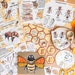Honey Bee Unit Study Homeschool Summer Activities Bee Life Cycle ...