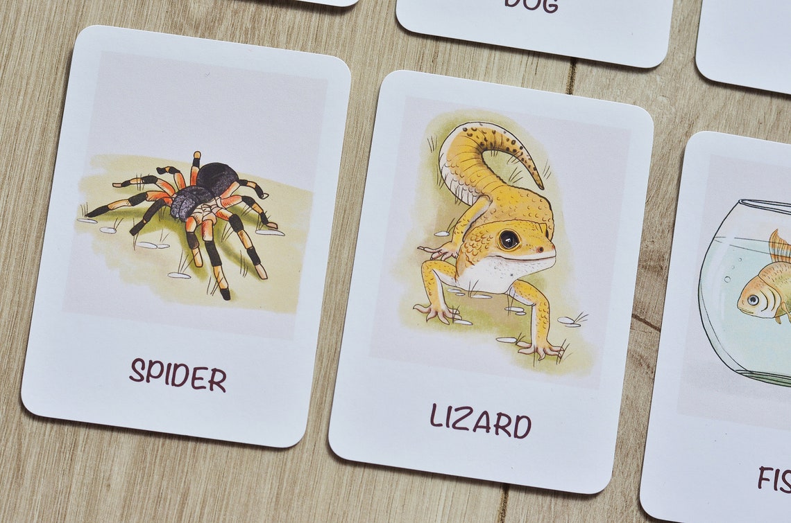 Pets Flashcards, Homeschool Montessori Materials Flash Cards, Printable ...