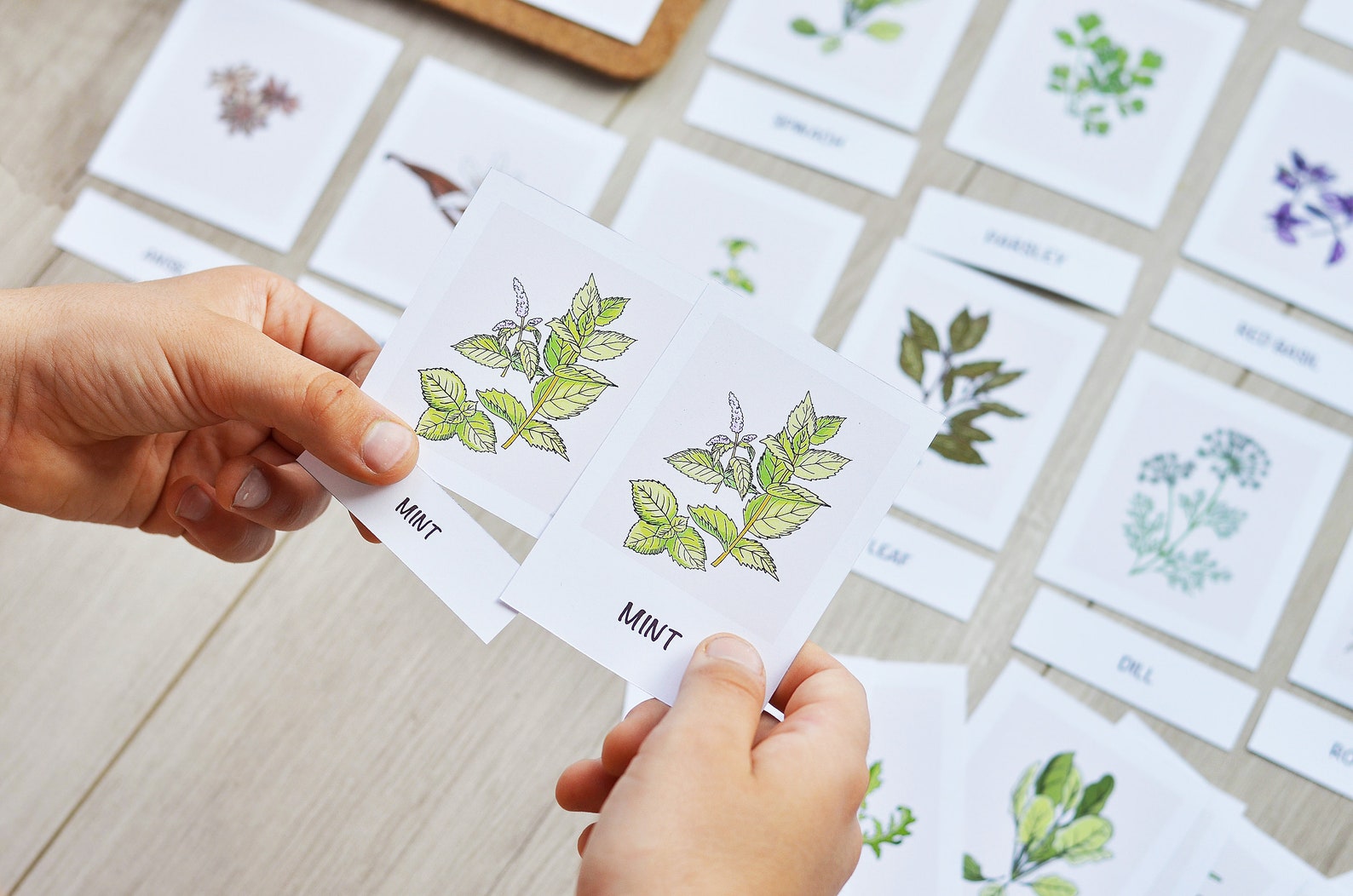 Herbs Flashcards, Printable Montessori Materials, Preschool Toddler ...