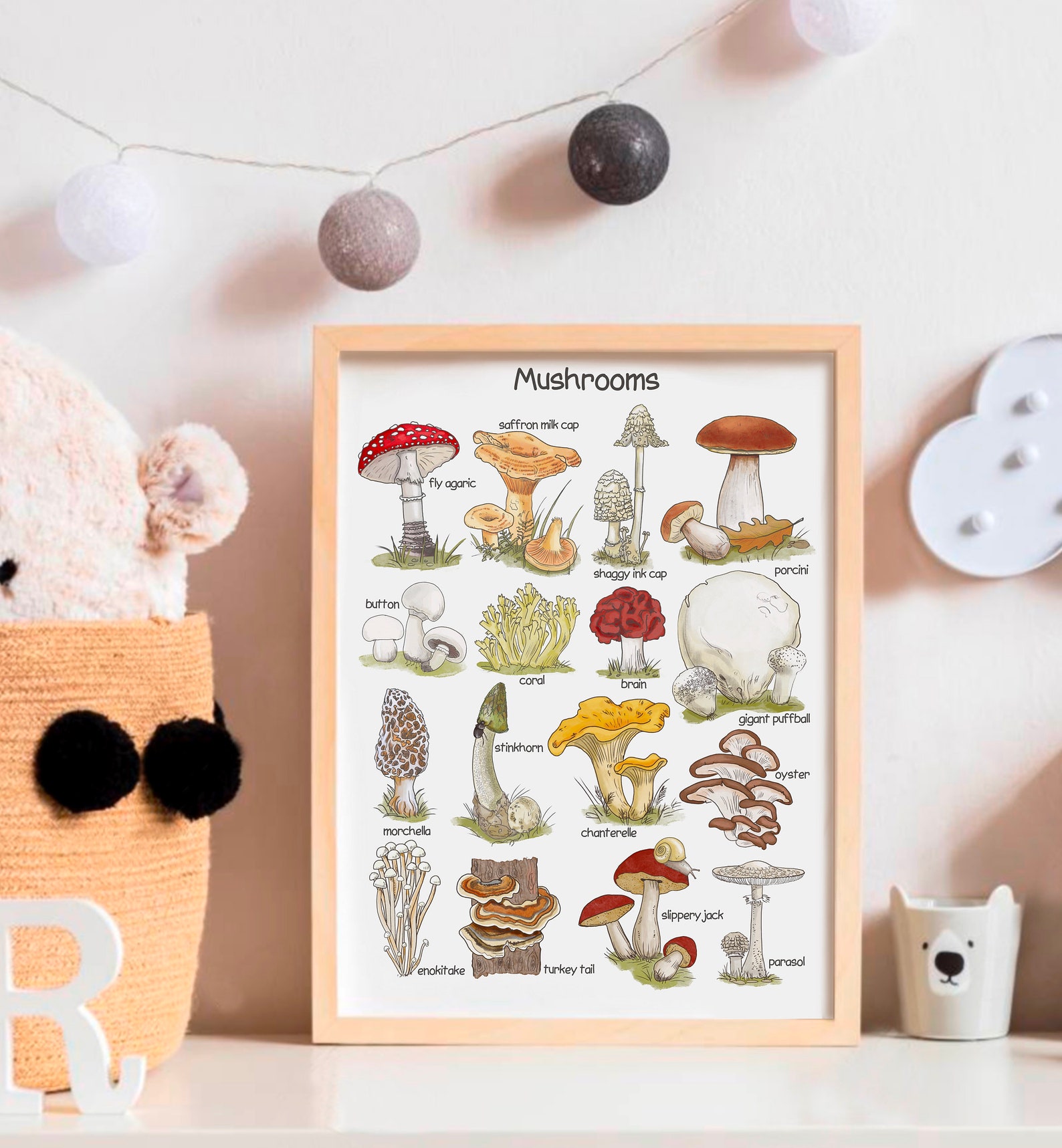 Mushroom Poster Homeschool Educational Posters for Toddlers Nature ...