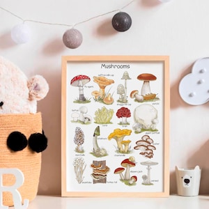 Mushroom Poster Homeschool Educational Posters for Toddlers Nature ...