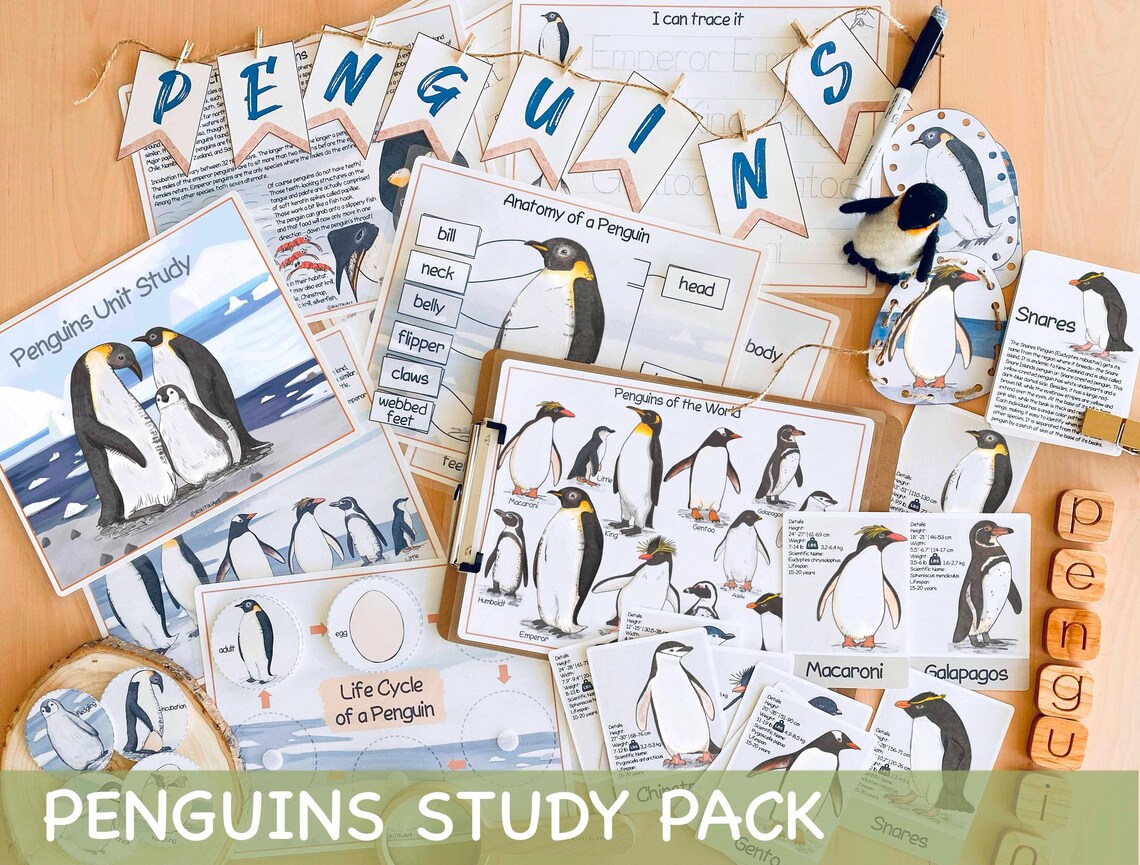 Penguins Unit Study Winter Homeschool Learning Materials Charlotte Mason Study Bundle Preschool ...