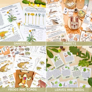 27 Unit Studies MEGA BUNDLE Homeschool Printable Charlotte Mason ...