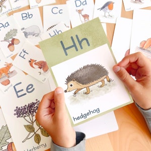 Woodland Alphabet Flashcards: Watercolor Forest ABC Cards (digital ...