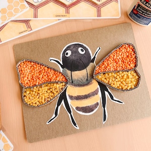 Honey Bee Unit Study Homeschool Summer Activities Bee Life Cycle ...