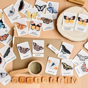 Butterfly Flash Cards Montessori Printable Homeschool Resources Toddler ...