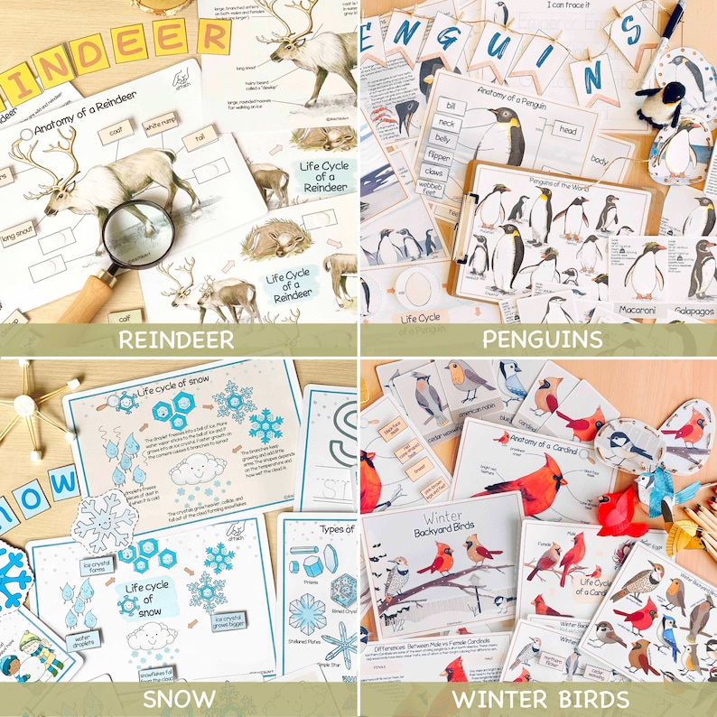 27 Unit Studies MEGA BUNDLE Homeschool Printable Charlotte Mason ...
