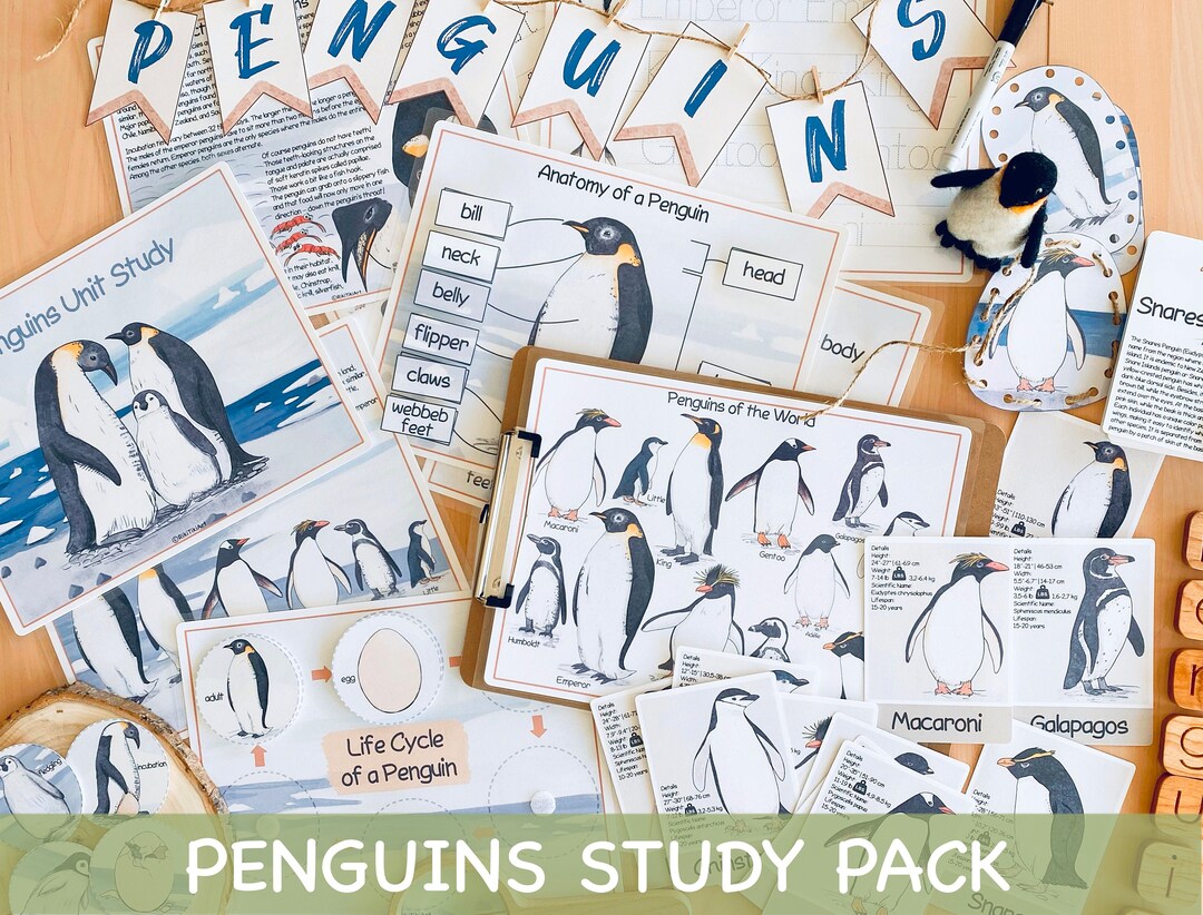 Penguins Unit Study Winter Homeschool Learning Materials Charlotte ...