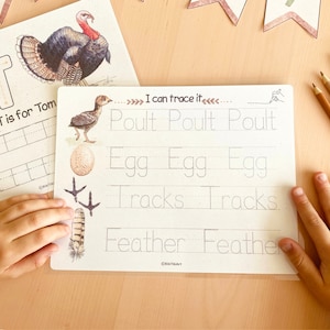 Turkey Unit Study Fall Homeschool Learning Materials Charlotte Mason ...