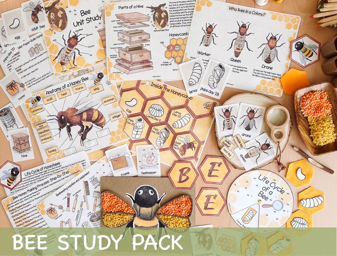 Honey Bee Unit Study Homeschool Summer Activities Bee Life - Etsy
