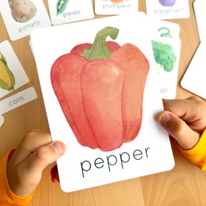 18 Watercolor Vegetables Flash Cards for Kids Vegetable Flashcards for ...