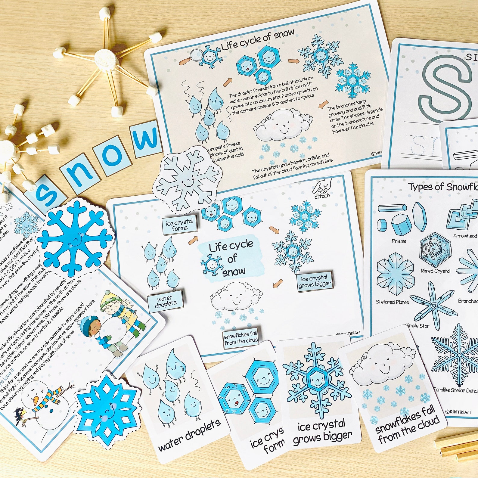 Snow Unit Study Snowflakes Printable Resources Homeschool - Etsy