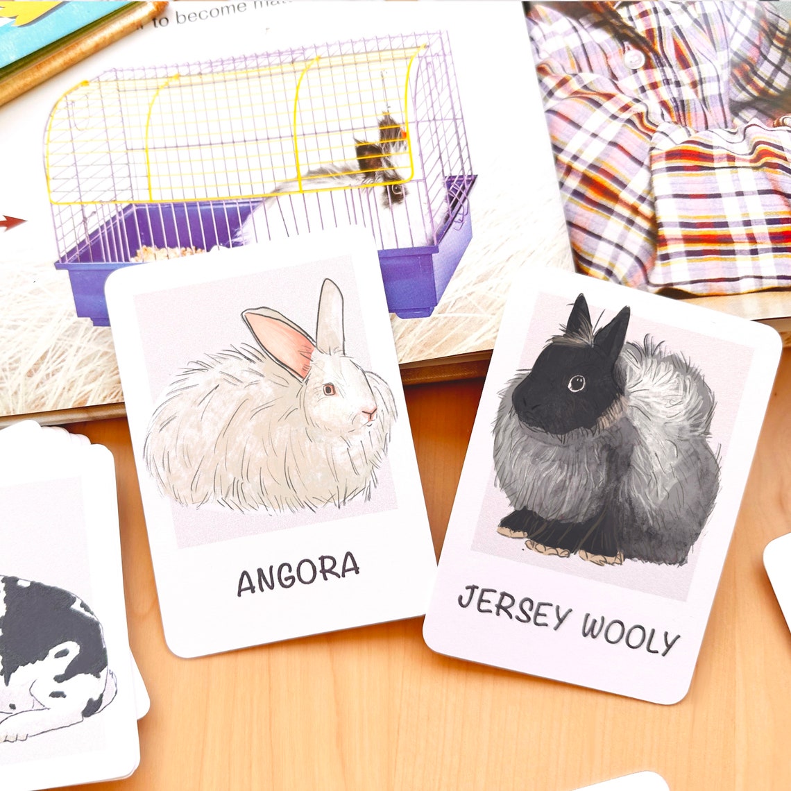 Rabbit Flash Cards Montessori Printable Homeschool Resources Nature ...
