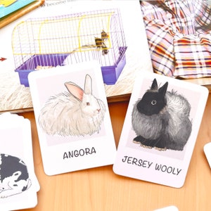 Rabbits Flash Cards Montessori Printable Homeschool Resources Nature ...