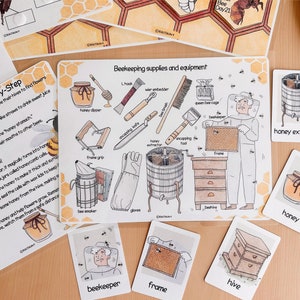 Honey Bee Unit Study Homeschool Summer Activities Bee Life Cycle ...