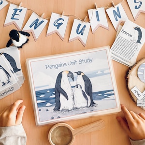Penguins Unit Study Winter Homeschool Learning Materials Charlotte ...