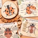 Ladybug Unit Study Homeschool Spring Printables Charlotte Mason ...