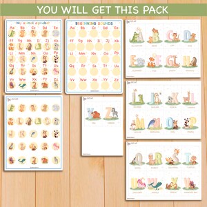 Alphabet Activity Preschool Curriculum, Printable Alphabet Cards ...