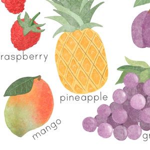 Watercolor Fruit and Vegetable Prints Classroom Educational Posters ...