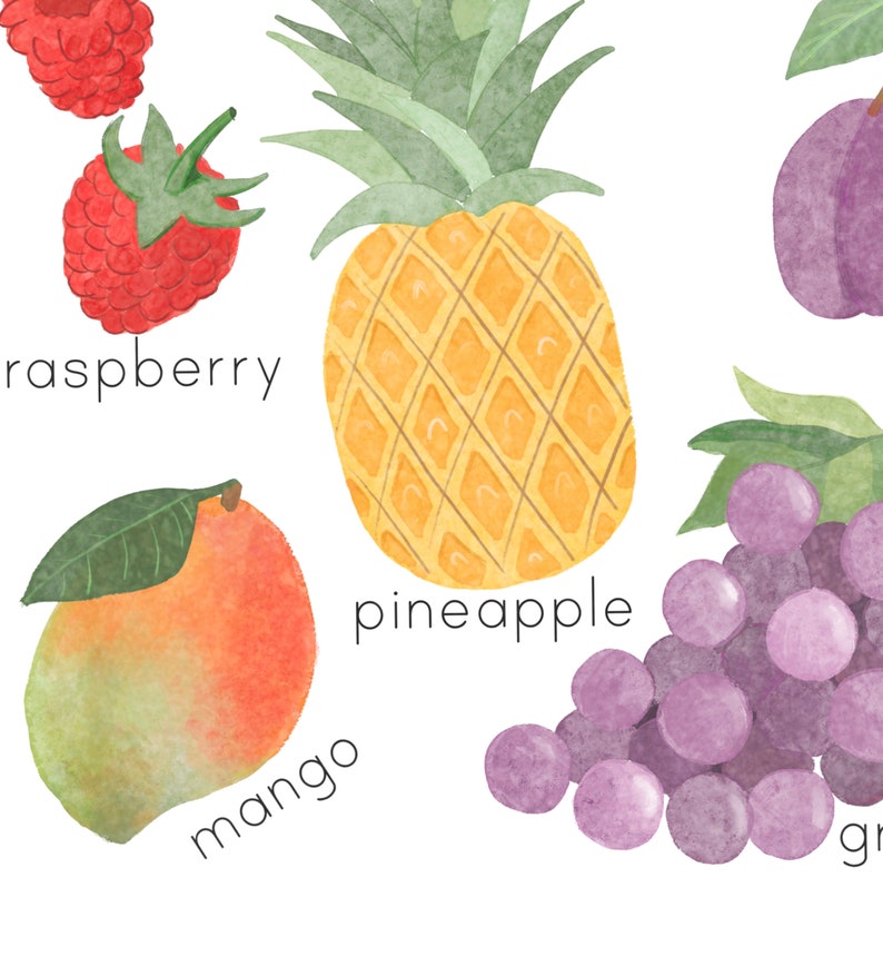 Watercolor Fruit and Vegetable Prints Classroom Educational Posters ...