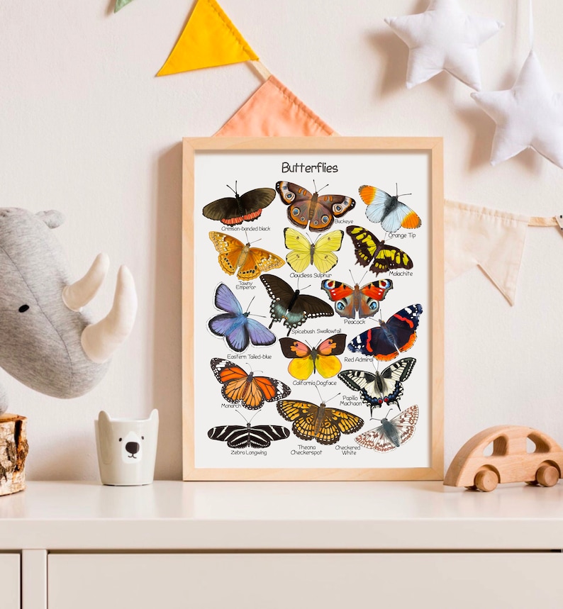 Butterfly Poster Nature Educational Posters Charlotte Mason - Etsy