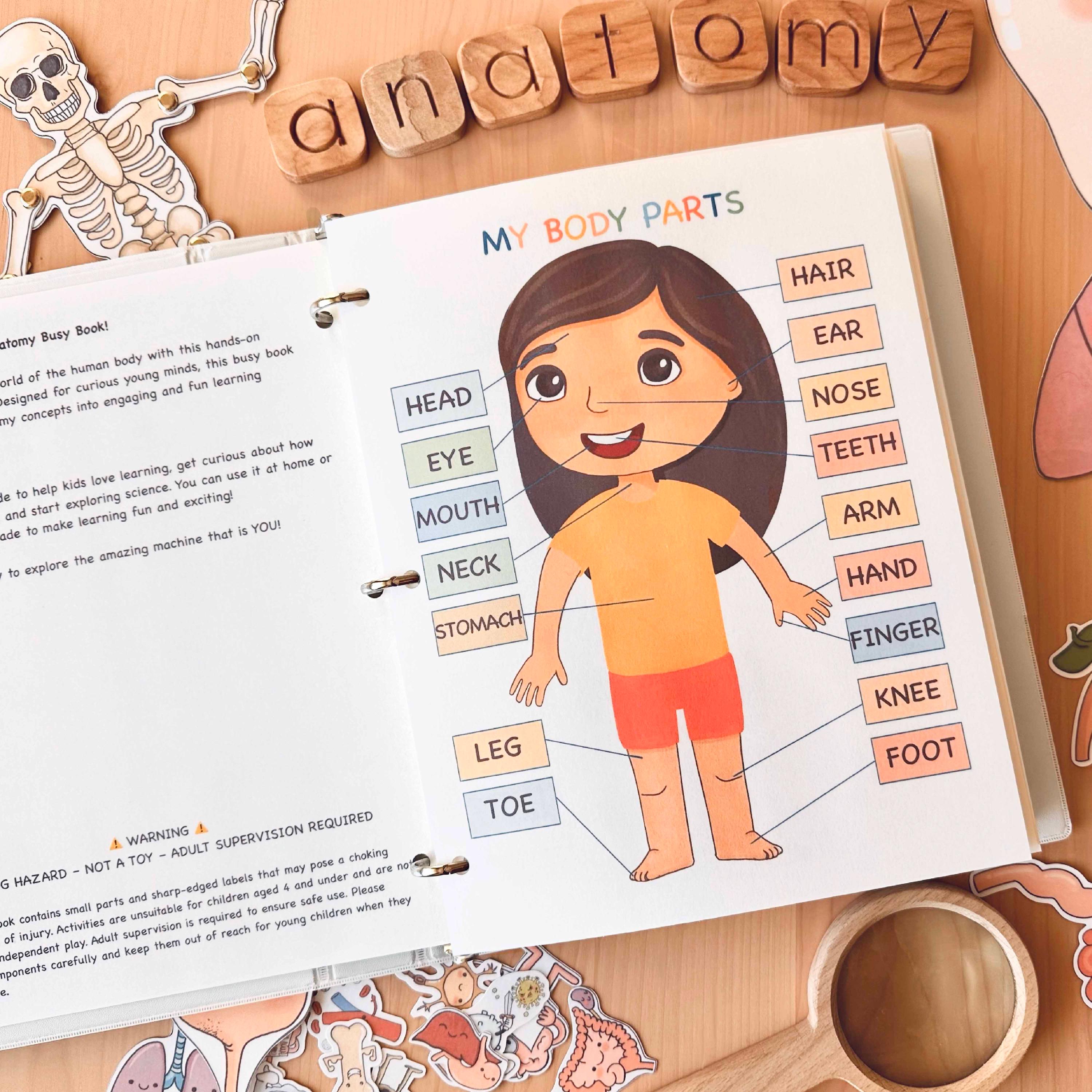Human Anatomy Busy Book for Kids, Personalized Toddler Activity Book ...
