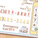 Phone Number and Address Preschool Curriculum, Printable Toddler ...