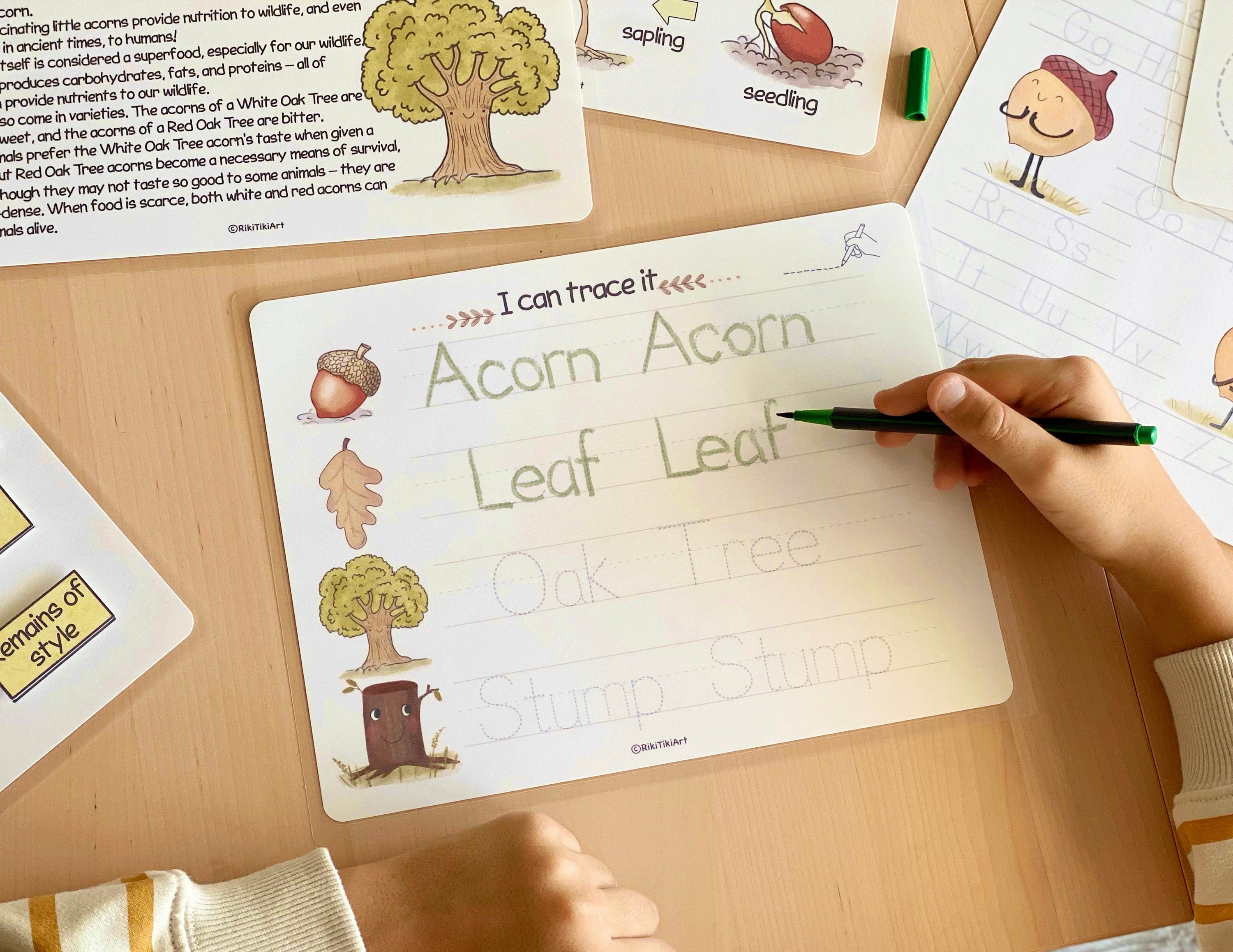 Oak Tree Unit Study Bundle Charlotte Mason Nature Study Anatomy of an ...