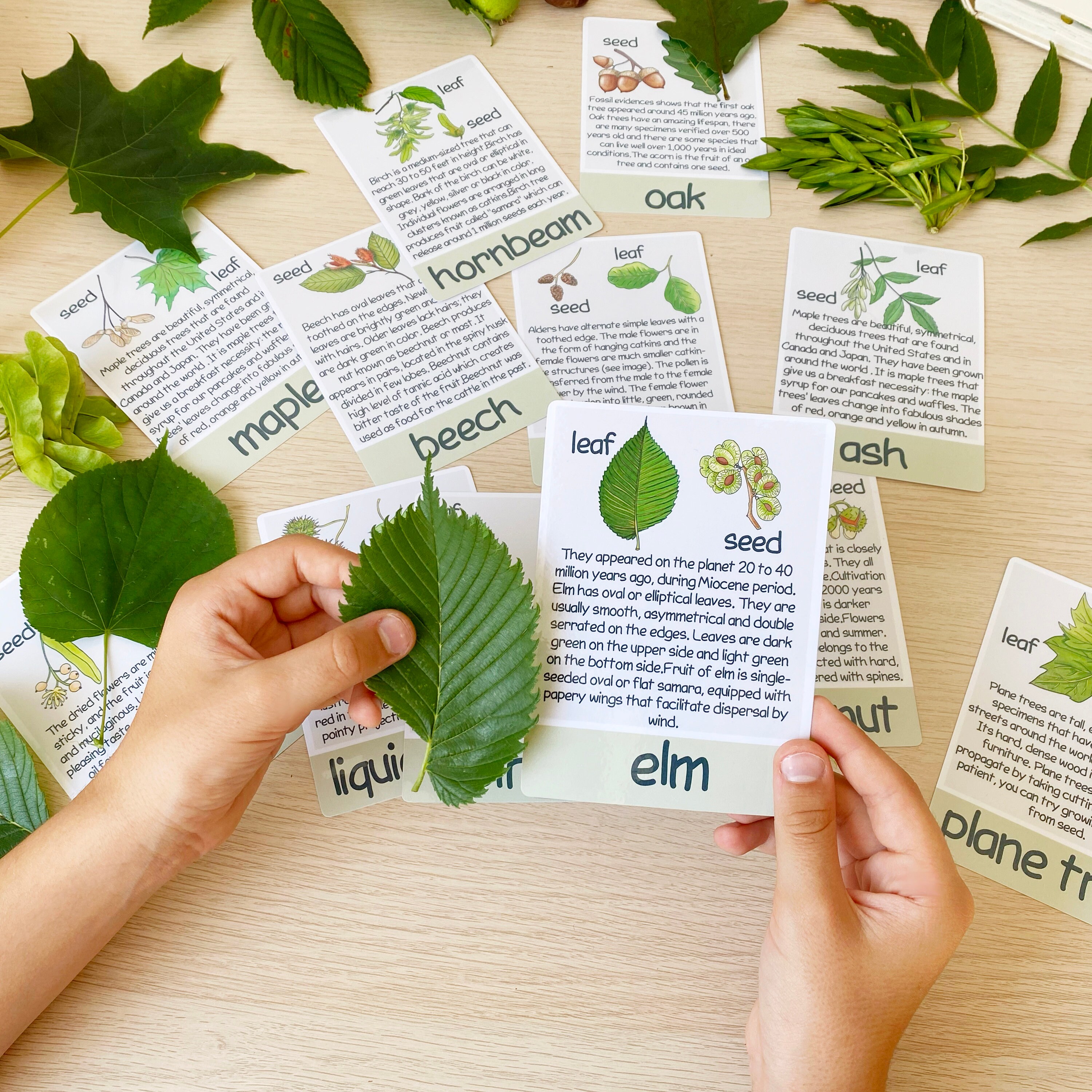 Printable Nature Journal Homeschool Learning Materials | Etsy