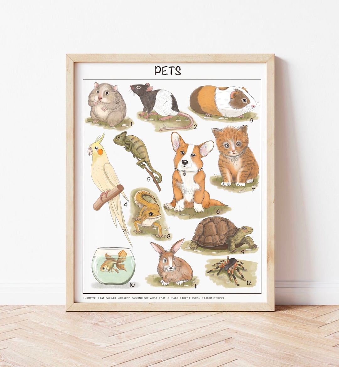 Pets Poster Homeschool Print Montessori Printable Wall Art Classroom ...