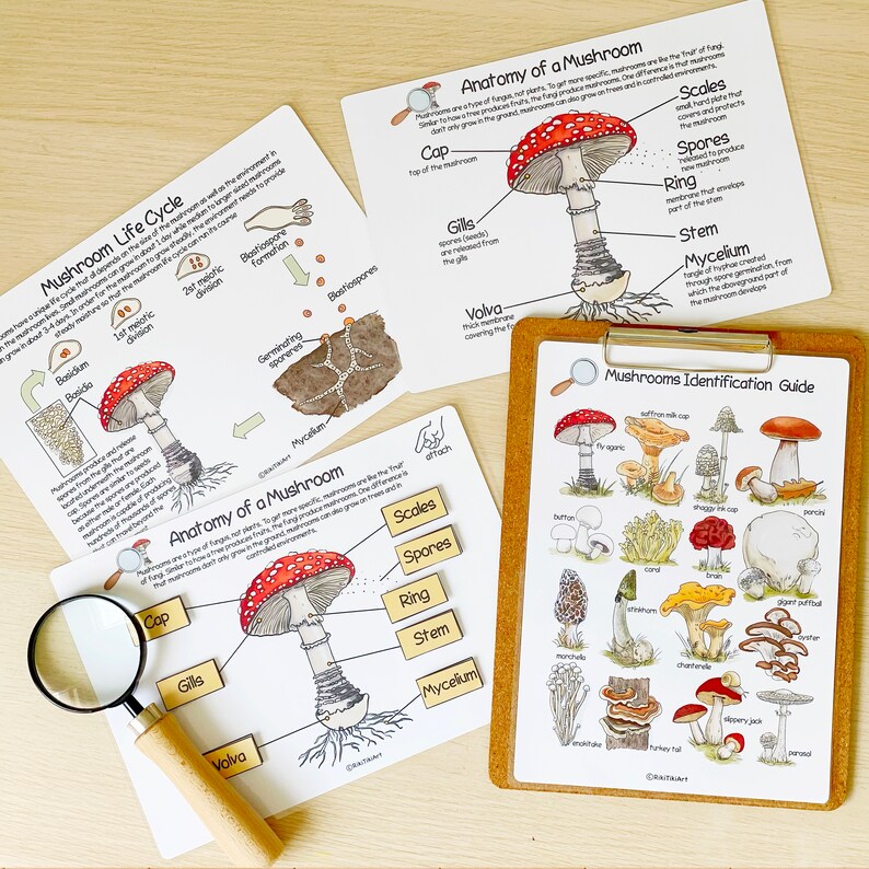Printable Nature Journal Homeschool Learning Materials | Etsy