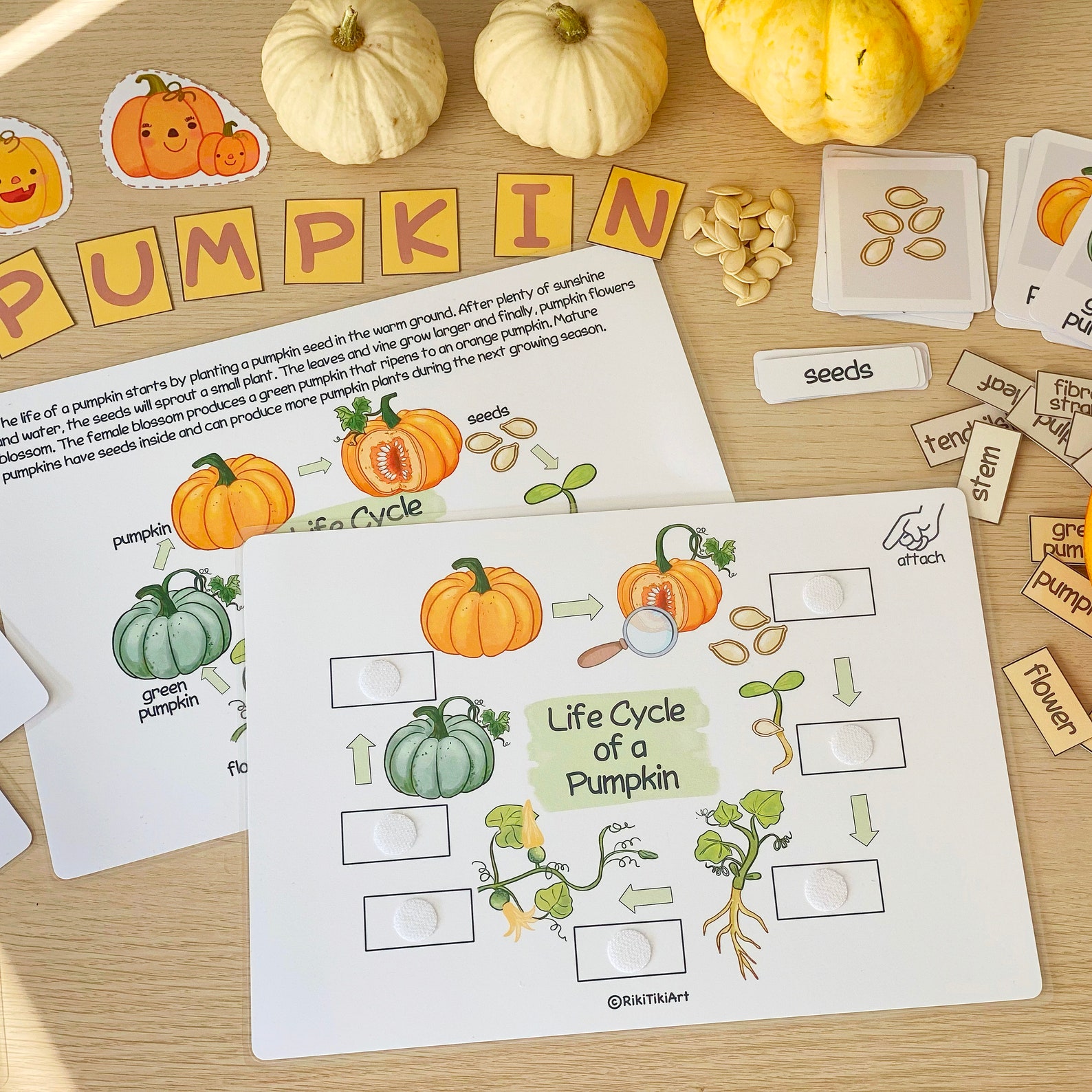 Pumpkin Unit Study Homeschool Learning Materials Charlotte Mason ...