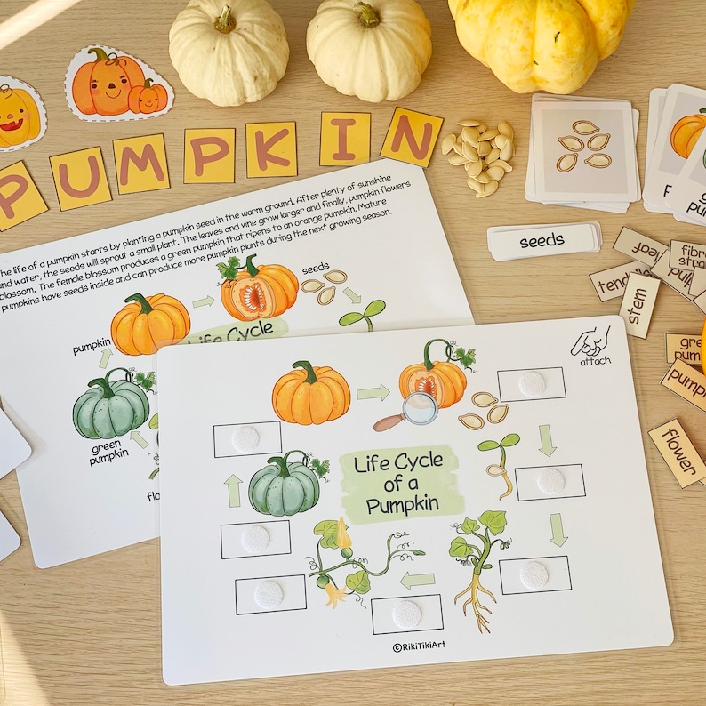 Pumpkin Unit Study Homeschool Learning Materials Charlotte - Etsy
