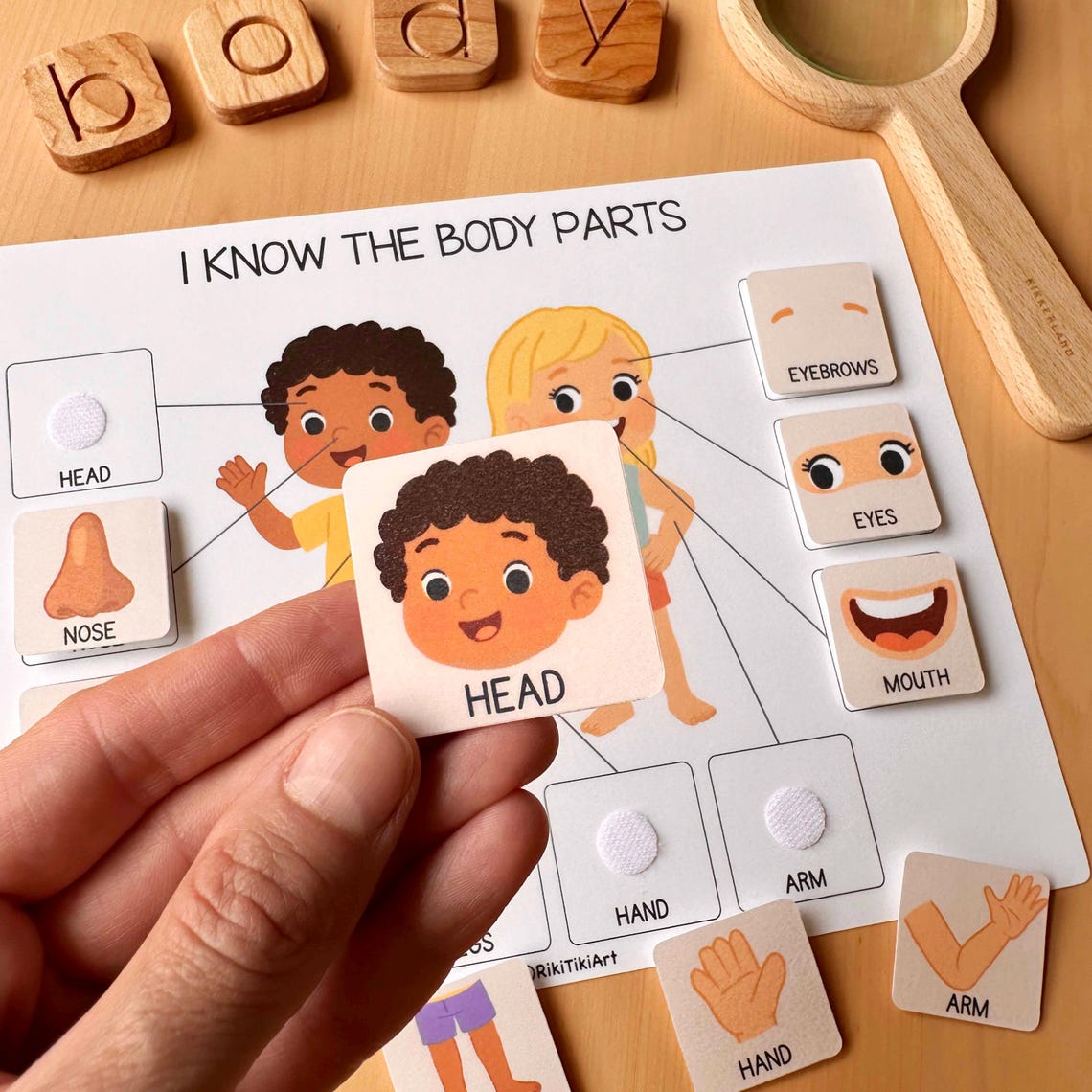 Body Parts Matching Activity for Kids – Human Anatomy Preschool ...